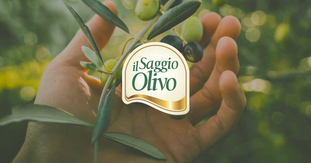 Il Saggio Olivo | I Nostri Marchi | Supermercati Todis